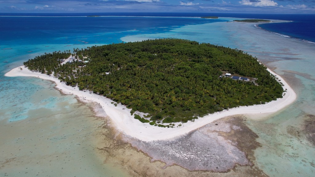 “Our goal is to get all the rats off the island.” | Conservation blog