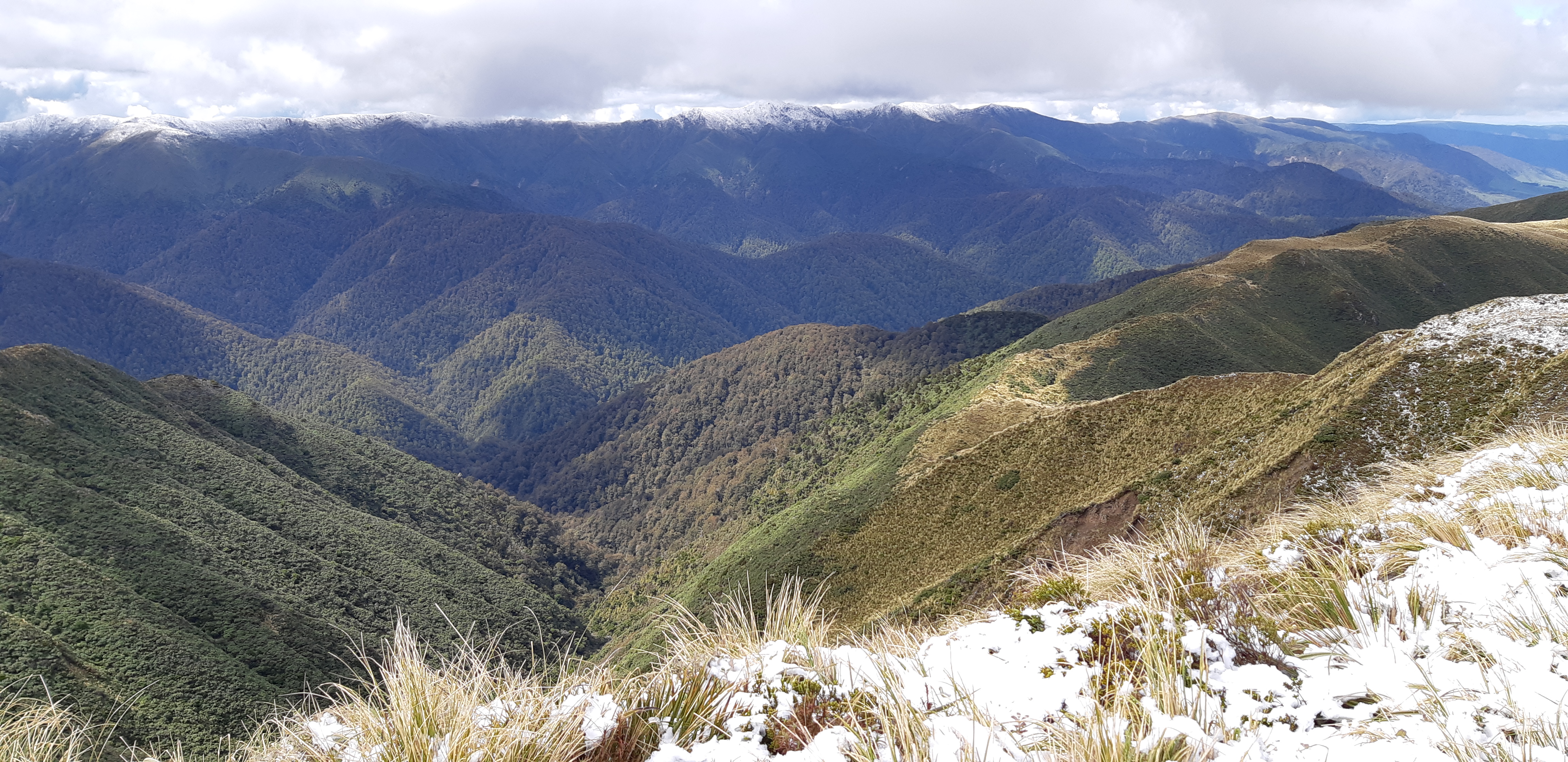 Ruahine Forest Park: A Collaborative Path to Restoration | Conservation ...